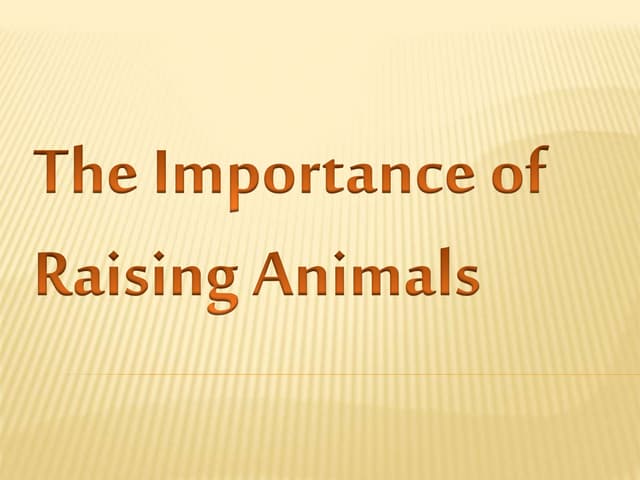 Animal raising | PPTX