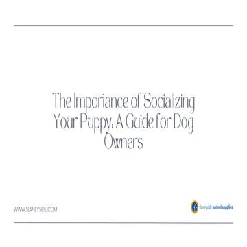 The Importance of Socializing Your Puppy A Guide for Dog Owners ...