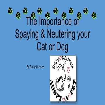 The importance of spaying & neutering your cat | PPTX