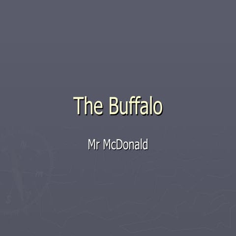The Importance Of The Buffalo | PPT