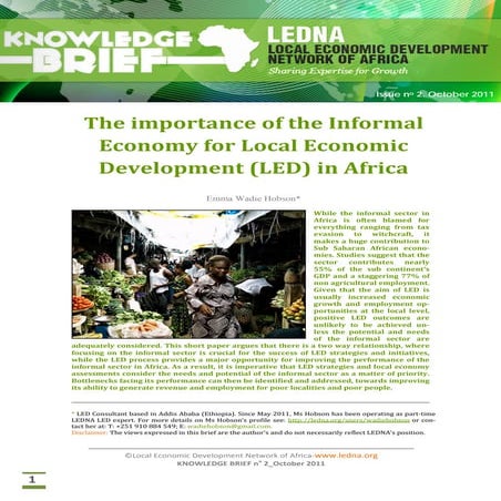 The importance of the informal economy for local economic development ...