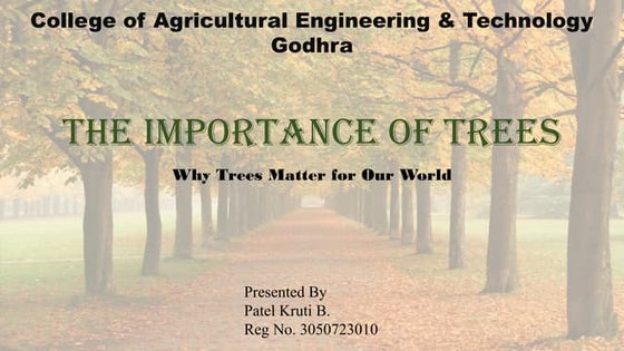 WHY TREES ARE IMPORTANT? Trees are the backbone of life on Earth. | PPT