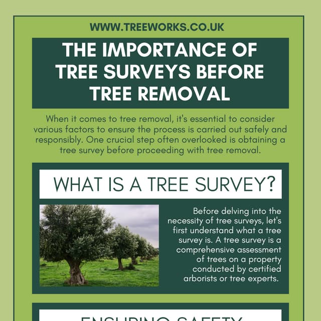 The Importance of Tree Surveys Before Tree Removal.pdf