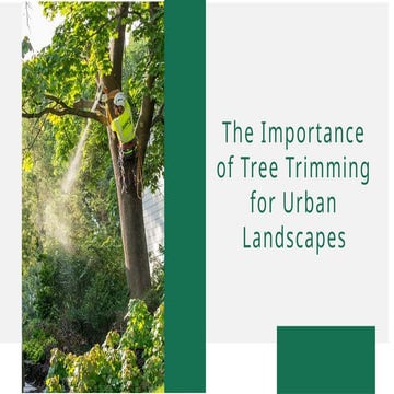 The Importance of Tree Trimming for Urban Landscapes | PPT