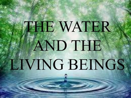 Unit 3 - WATER | PPT