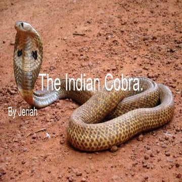 The Indian Cobra | PPTX