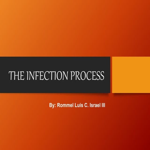 THE INFECTION PROCESS | PPTX