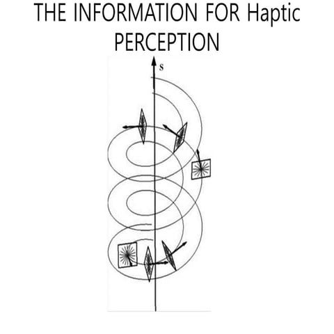 The information for haptic perception | PPTX