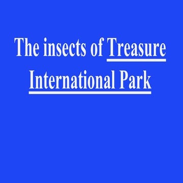 The insects of treasure international park | PPT