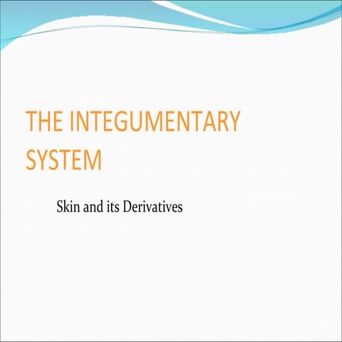 The integumentary system | PPT