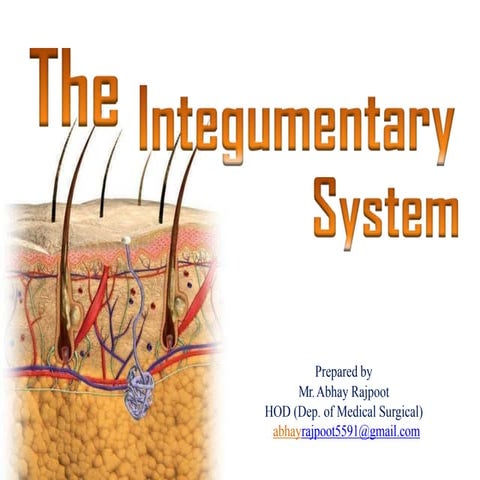 Ppt Unit 5 The Integumentary System Powerpoint