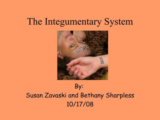 Skin structure function and disease | PPT