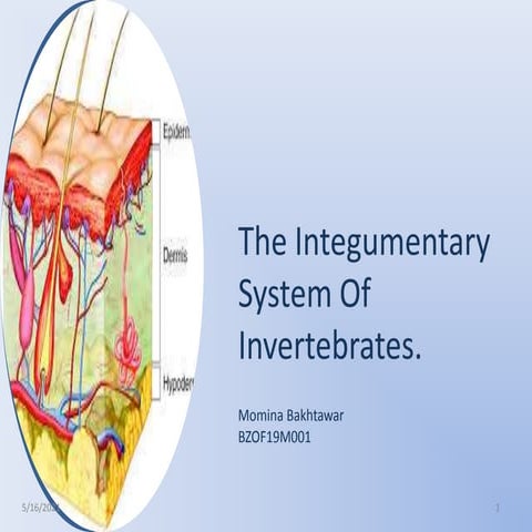 Integumentary System Body Parts