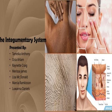 The Integumentary System Presentation Group 4.pptx