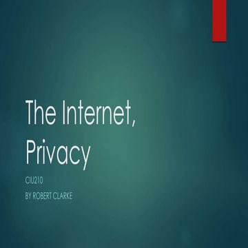 The internet, privacy | PPTX