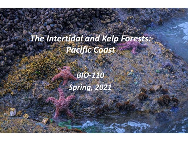 INTRODUCTION TO ROCKY SHORES AND KELP FORESTS | PPTX