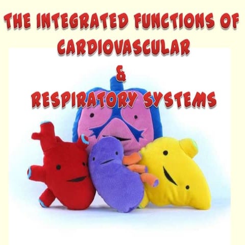 The integrated functions of cardiovascular and respiratory systems | PPTX