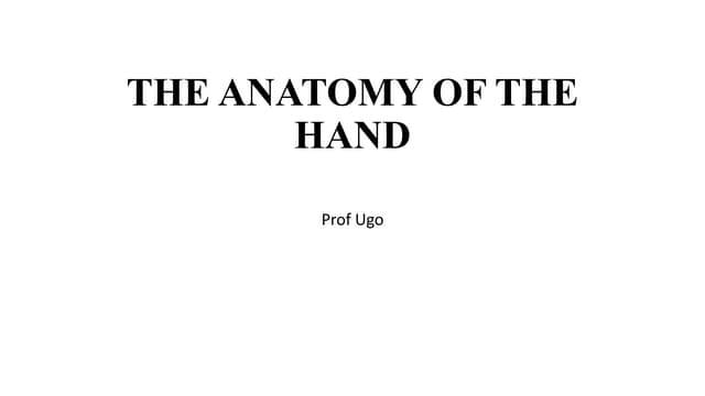 General Anatomy of the muscles of the hand. | PPTX