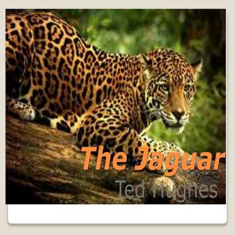 The Jaguar by Ted Hughes | PPTX