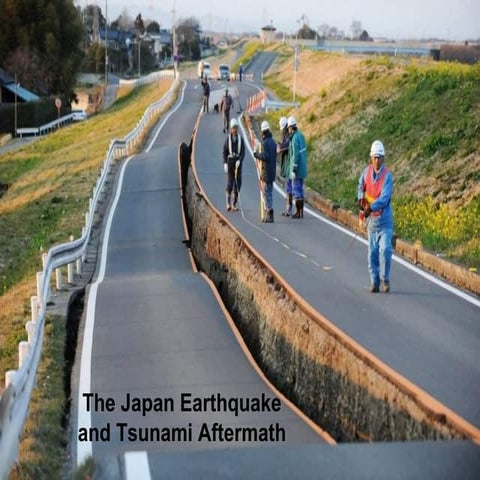 The japan earthquake and tsunami | PPS