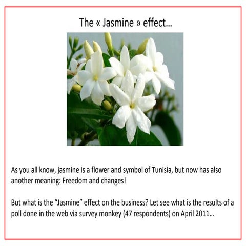 The Jasmine Effect | PPT