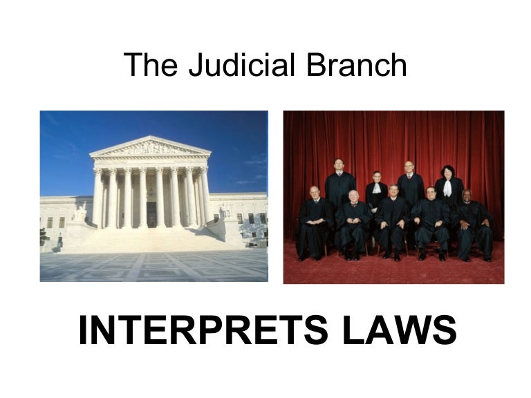 The Judicial Branch