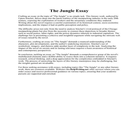 The Jungle Essay | PDF | Computer Networking | Computing