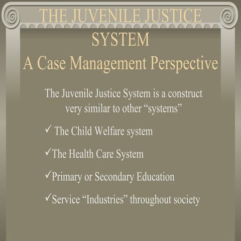 The juvenile justice system | PPT