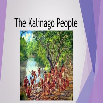 The Kalinagos and their beautiful culture | PDF