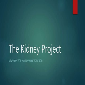 The Kidney Project by Gail Lehman | PPTX