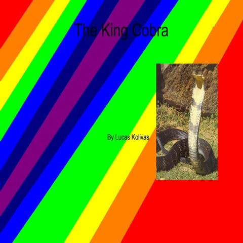 The king cobra | PPT