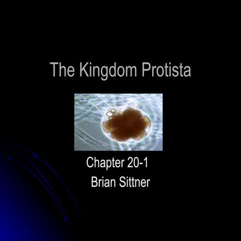 The Kingdom Protista | PPT