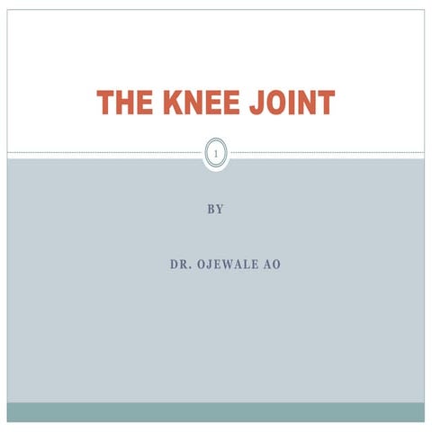 ligaments of the knee joint | PDF