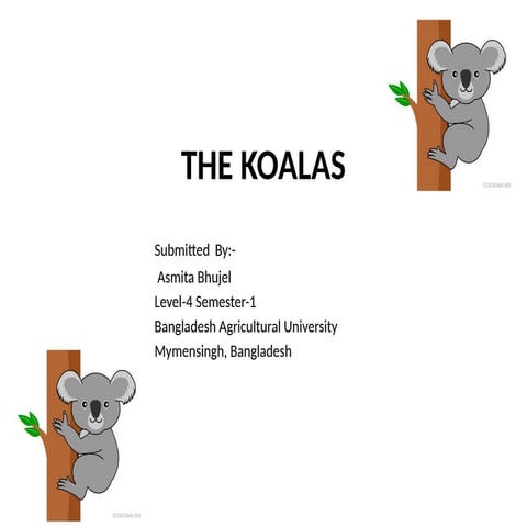 THE KOALAS ; AN ENDANGERED ANIMAL- PRESENTATION/PPT | PPTX