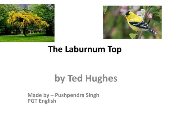 The laburnum top | PDF
