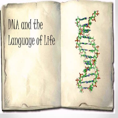 The language of life (all the subtitles)first ppt 2 bimester | PPTX ...