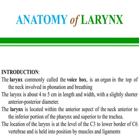 Anatomy of larynx with spaces w/n larynx | PPTX