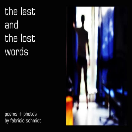the last and the lost words | PDF