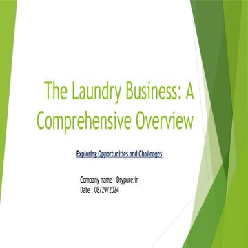 The Laundry Business: A Comprehensive Overview | PPTX