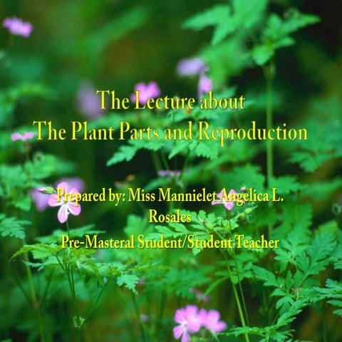 The lecture about plant parts and reproduction | PPTX | Reproductive ...