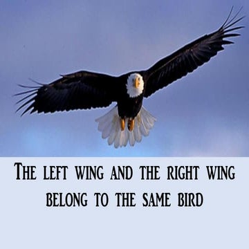The left wing and the right wing - one bird.
