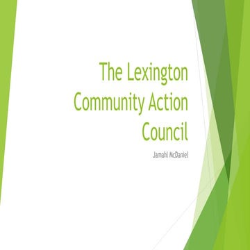 The lexington community action council | PPT