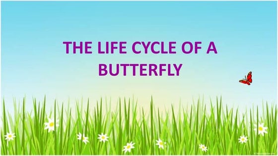 Manipulatives life cycle of a butterfly | PPTX