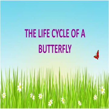 The Life cycle of frog | PPT