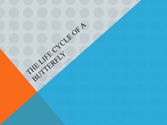 Four stages of a Mosquito life Cycle PPT.pptx by | PPT