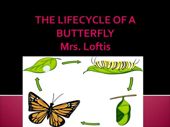 Manipulatives life cycle of a butterfly | PPTX
