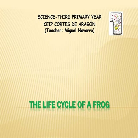 The life cycle of a frog | PPTX | Biological Sciences | Science
