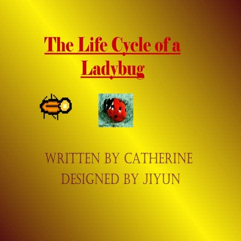 The lifecycle of a ladybug | PPT