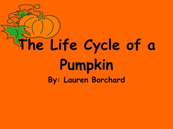 Life Cycle of a Pumpkin | PPT