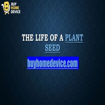 Seed structure | PPT